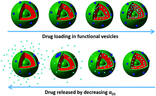 Encapsulation and release of drug nanoparticles in functional polymeric ...