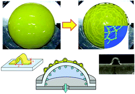 Surface buckling delamination patterns of film on soft spherical ...