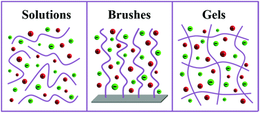 Ionic effects on synthetic polymers: from solutions to brushes and gels ...