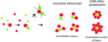 Self-assembly of finite-sized colloidal aggregates - Soft Matter (RSC ...