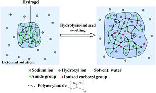 Hydrolysis-induced large swelling of polyacrylamide hydrogels - Soft ...