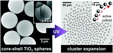 Light-powered active colloids from monodisperse and highly tunable ...