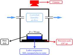 Role of particle aggregation in the structure of dried colloidal silica ...