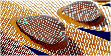 Factors controlling the pinning force of liquid droplets on liquid ...