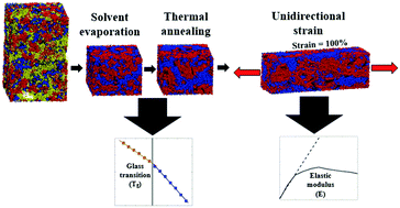 Elasto-morphology of P3HT:PCBM bulk heterojunction organic solar cells ...