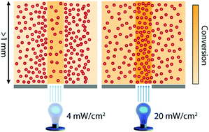 Observation of intensity dependent phase-separation in photoreactive ...