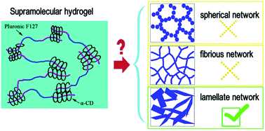 The intrinsic microstructure of supramolecular hydrogels derived from α ...