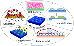 Recent advances on porous interfaces for biomedical applications - Soft ...