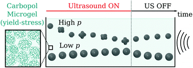 Acoustic bubble dynamics in a yield-stress fluid - Soft Matter (RSC ...