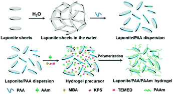 A facile approach to obtain highly tough and stretchable LAPONITE ...