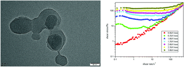 Titanium oxide-coated titanium-loaded metal organic framework (MOF-Ti ...