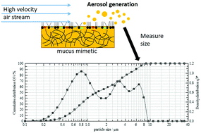 Surface rheological properties alter aerosol formation from mucus ...