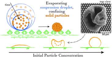 Evaporation-driven colloidal cluster assembly using droplets on ...