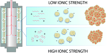 Ionic strength and polyelectrolyte molecular weight effects on floc formation and growth in ...