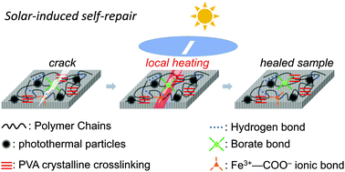 Equipment-free photothermal effect promoted self-healing and self ...