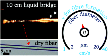 Polymer entanglement drives formation of fibers from stable liquid ...