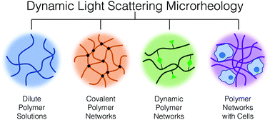 Dynamic light scattering microrheology for soft and living materials ...
