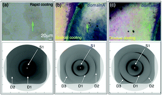 New liquid crystal formation induced by nanoscale phase separation ...