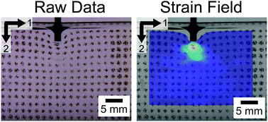 Deep indentation and puncture of a rigid cylinder inserted into a soft ...