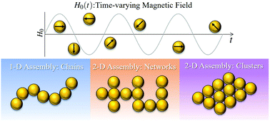 Hierarchical assemblies of superparamagnetic colloids in time-varying magnetic fields - Soft ...