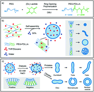 Membrane folding and shape transformation in biomimetic vesicles - Soft ...