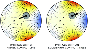 Capillary force on an ‘inert’ colloid: a physical analogy to ...