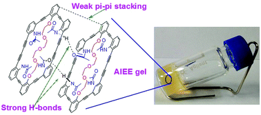 A shape-persistent arylene ethynylene macrocycle with a multiple ...