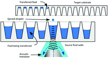 A review on acoustic droplet ejection technology and system - Soft ...