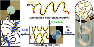 Post-synthesis modification of slide-ring gels for thermal and ...