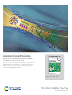 Inside back cover - Soft Matter (RSC Publishing)