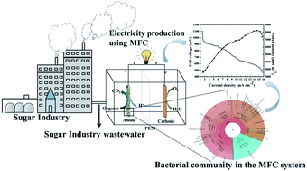 Sustainable electric power generation from live anaerobic digestion of ...