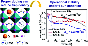 Revealing the compositional effect on the intrinsic long-term stability ...
