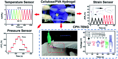 Highly stretchable, transparent cellulose/PVA composite hydrogel for ...