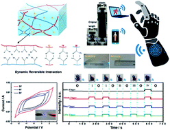 Super-stretchable, elastic and recoverable ionic conductive hydrogel ...