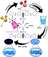 Conductive polyaniline doped with phytic acid as a binder and ...