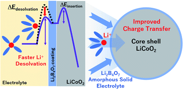 Effects of a solid electrolyte coating on the discharge kinetics of a ...