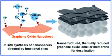 A thermally reduced graphene oxide membrane interlayered with an in ...