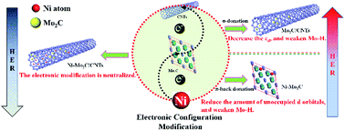 Realizing electronic modulation on Mo sites for efficient hydrogen ...