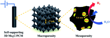 Self-supporting composited electrocatalysts of ultrafine Mo2C on 3D ...