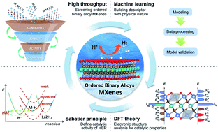 Accelerating 2D MXene catalyst discovery for the hydrogen evolution ...