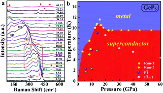 Pressure-driven significant phonon mode softening and robust ...