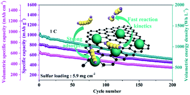In situ-grown tungsten carbide nanoparticles on nanocarbon as an ...