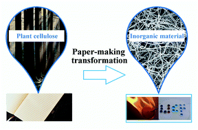 Cellulose Paper