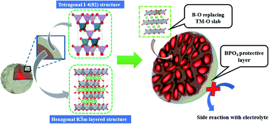 Suppressing H2–H3 phase transition in high Ni–low Co layered oxide ...
