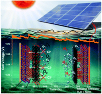 Stable complete seawater electrolysis by using interfacial chloride ion ...