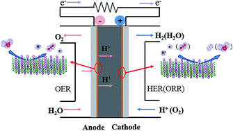 Mo2B2 MBene-supported single-atom catalysts as bifunctional HER/OER and ...