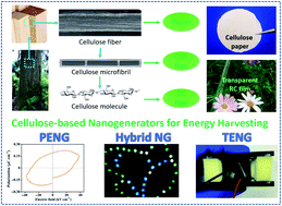 Recent advances in cellulose-based piezoelectric and triboelectric ...