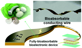 Natural polymer-based bioabsorbable conducting wires for implantable ...