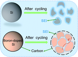 Bulk boron doping and surface carbon coating enabling fast-charging and ...