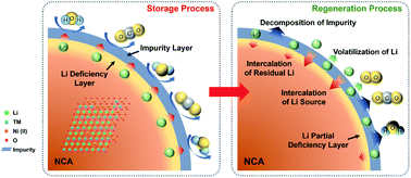 Revealing the degradation mechanism of Ni-rich cathode materials after ambient storage and ...